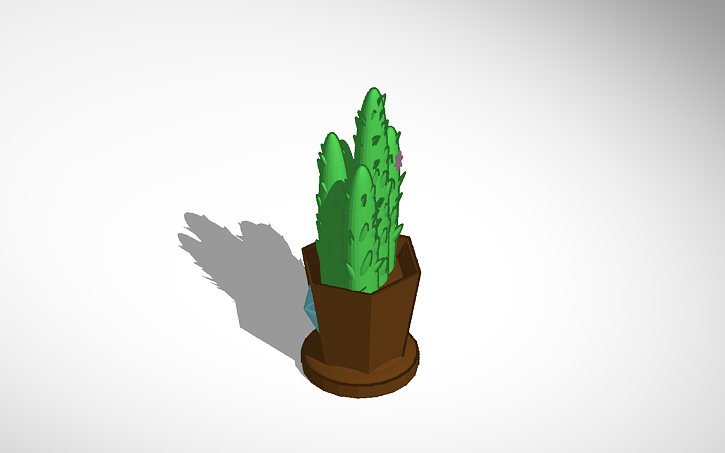 3d Design Cactus Tinkercad