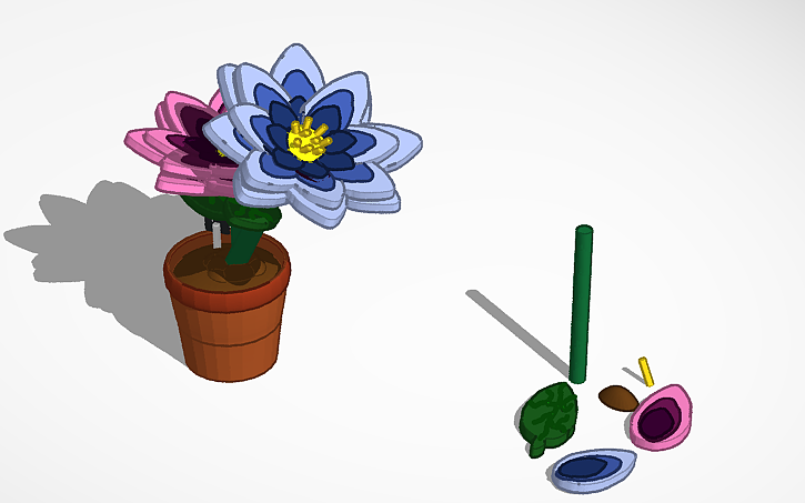 3D design Flowers - Tinkercad
