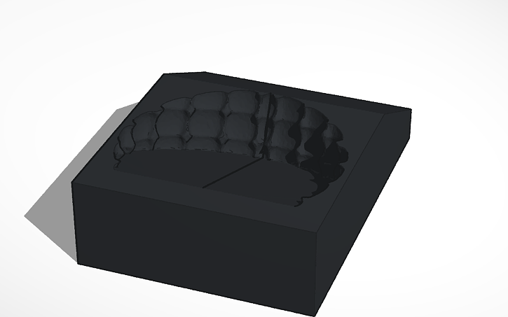 3D design Cornhole Trophy Base | Tinkercad
