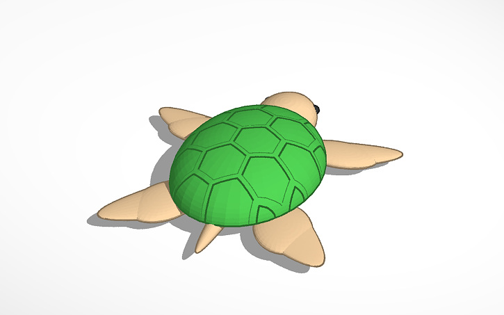 3D design Turtle | Tinkercad