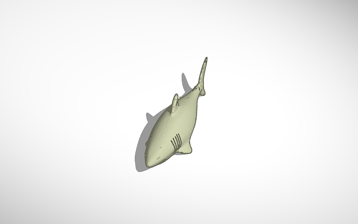 3D design Shark - Tinkercad