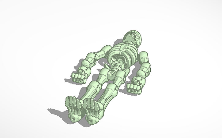 3D design Human skeleton | Tinkercad