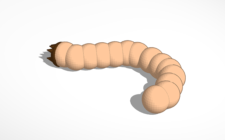 3D design death worm - Tinkercad