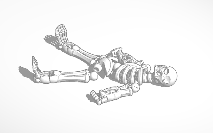 3D design Bones - Tinkercad