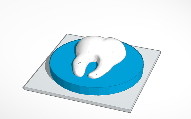 3d Design Tand Tinkercad