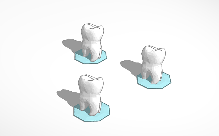 3D design Copy of tooth - Tinkercad
