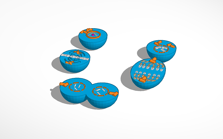 3D design Mitosis - Tinkercad