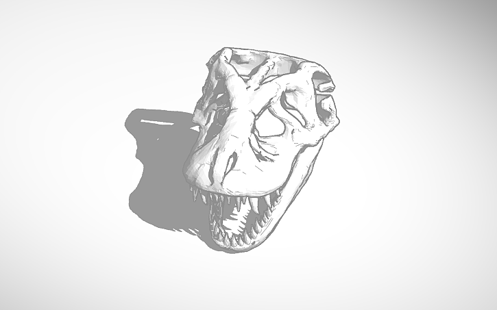 3D design Tyrannosaurus Rex - Tinkercad