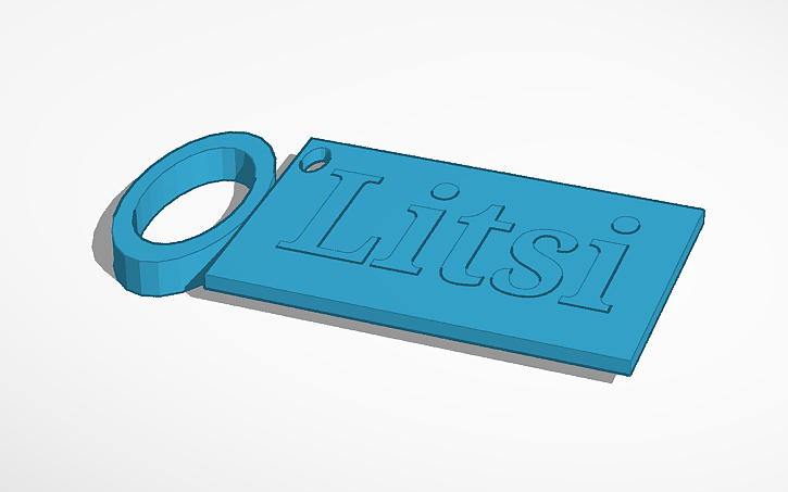 3D design Litsi East A4 - Tinkercad