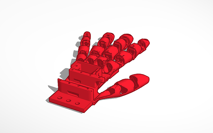 3D design Hand v3.1.1 Right beta | Tinkercad