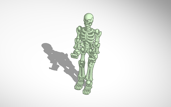 3D design the human body 1 - Tinkercad