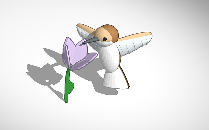 3D design cartoony hummingbird - Tinkercad