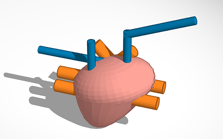 3D design Human Heart - Tinkercad