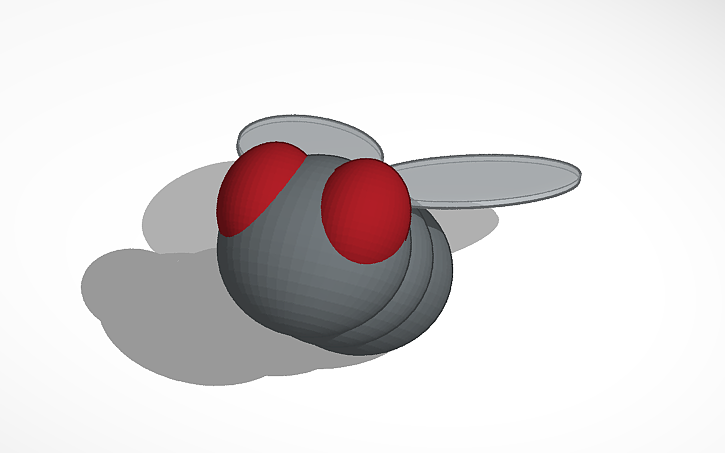 3D design super mosca - Tinkercad