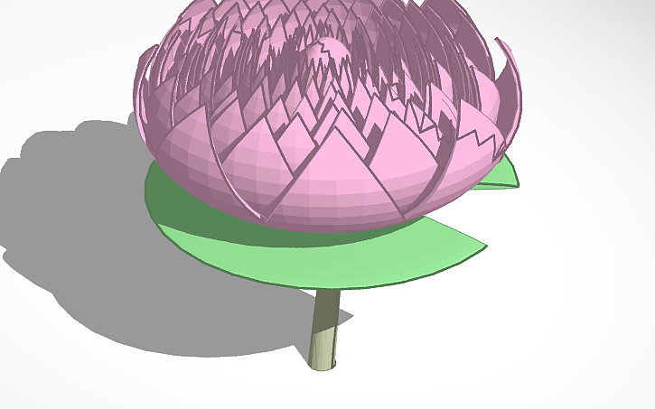 3D design Lotus | Tinkercad