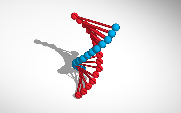 3D design DNA - Tinkercad
