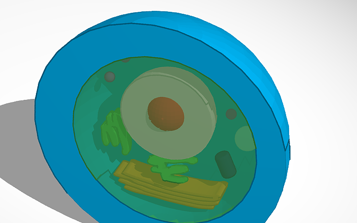 3D design cell diagram | Tinkercad
