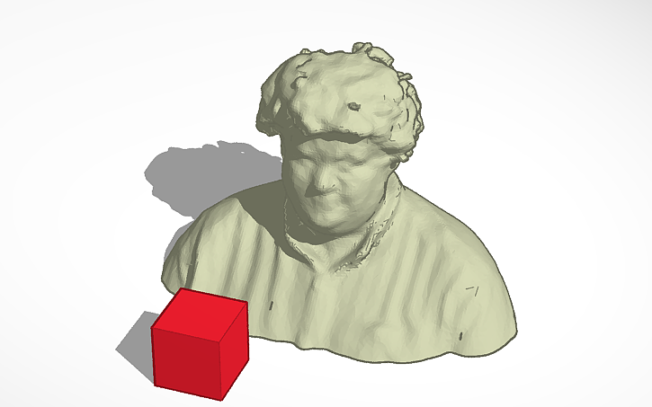 3D design my head - Tinkercad