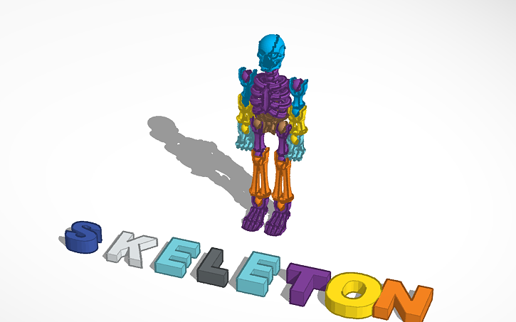 3D design Skeleton | Tinkercad