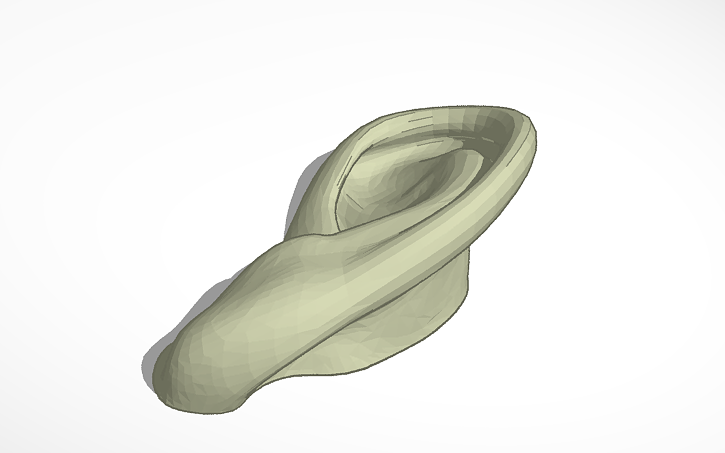 3D design Puquna ear - Tinkercad