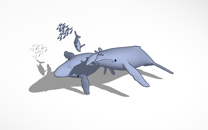 3D design Whale Family - Tinkercad