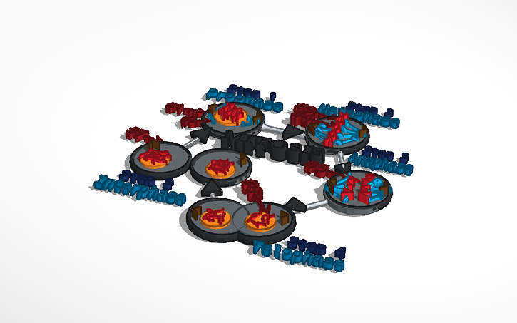 3D design Mitosis Project: Alicia, Carson, and Alex - Tinkercad