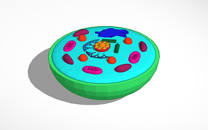 3D design Taylor Domson | Tinkercad