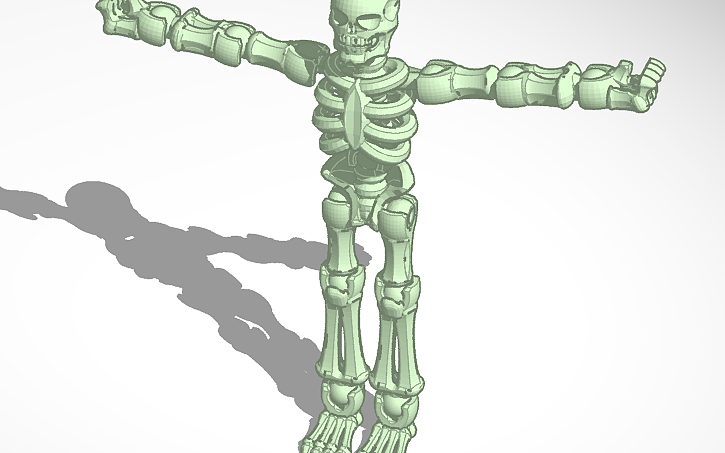 3D design Skeleton | Tinkercad