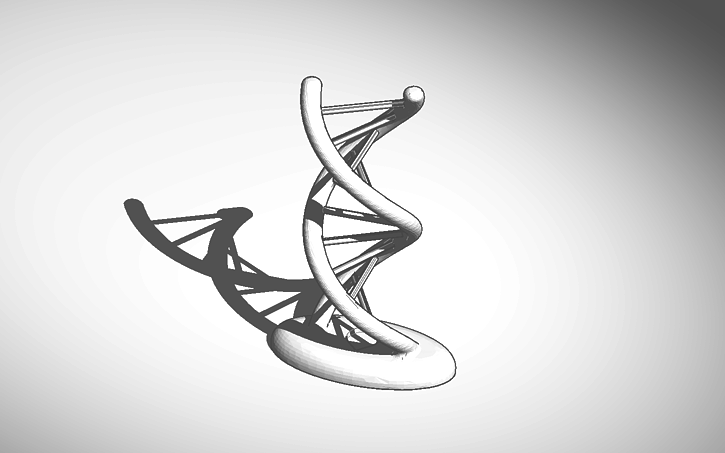 3D design Double Helix Import to fix intersections - Tinkercad