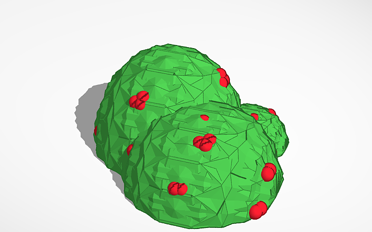 3D design Bush - Tinkercad