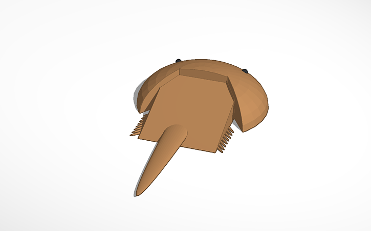 3D design horseshoe crab - Tinkercad