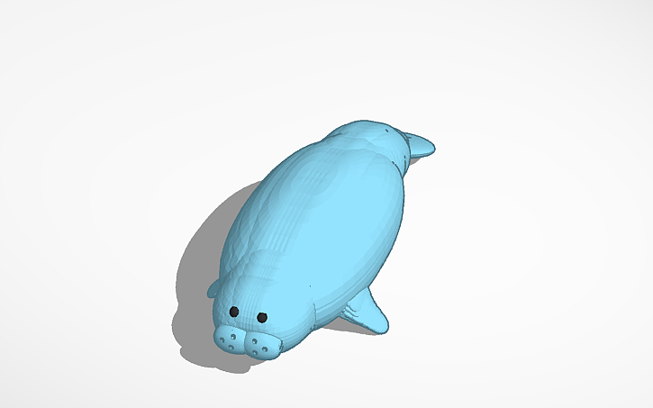 3d Design Eel Throwable Design Challenge Tinkercad