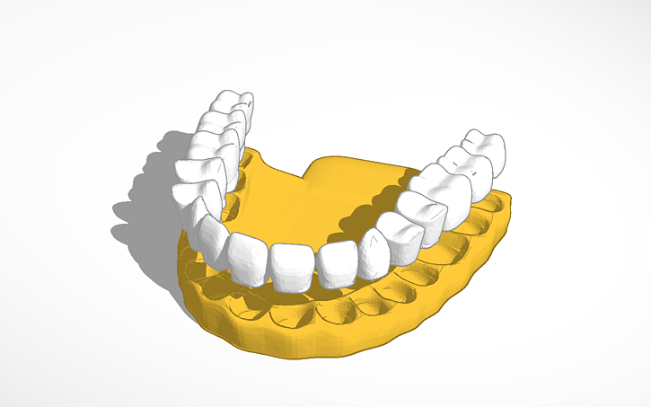3D design Lower Jaw & Teeth - Tinkercad