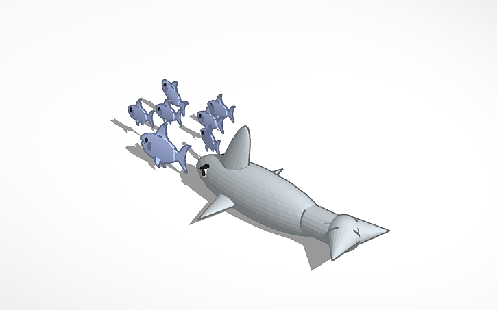 3D design tiburon - Tinkercad