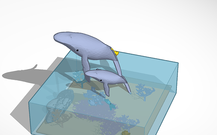 3D design baby whale & mama whale - Tinkercad