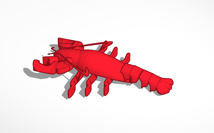 3D design lobster | Tinkercad