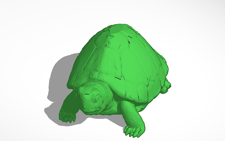 3D design turtle - Tinkercad