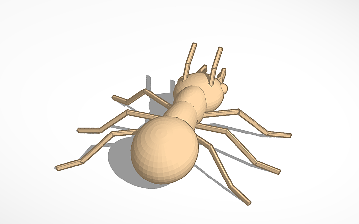 3D design Ant - Tinkercad