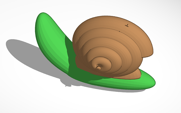3D design snail - Tinkercad
