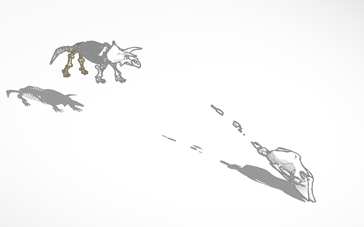 3D design triceratops skeleton - Tinkercad