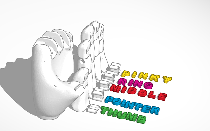 3D design PROSTHETIC LEFT HAND! strings go through the fingers and come ...