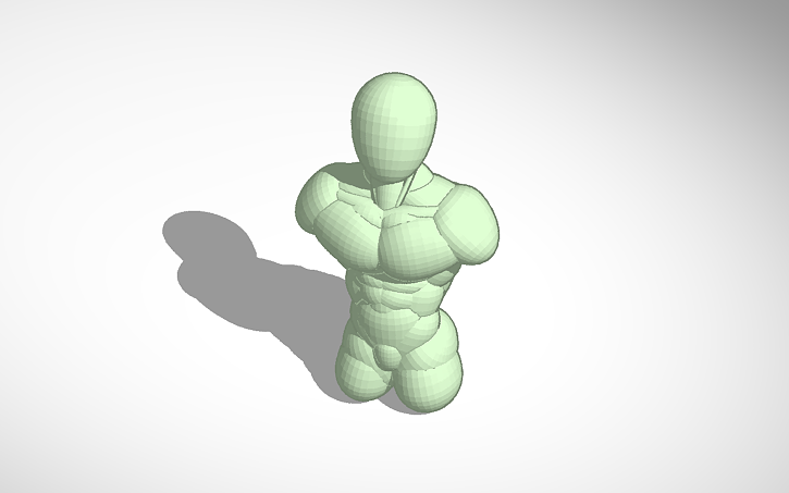 3D design Calway Torso - Tinkercad