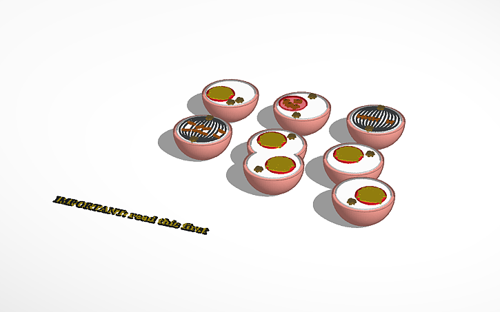 3D design Cell cycle (Interphase + Mitosis) With Annotations | Tinkercad