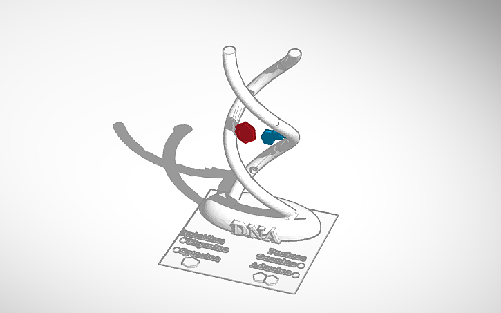 3D design DNA presentation | Tinkercad