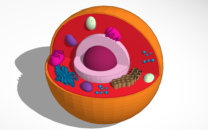 3D design cell - Tinkercad