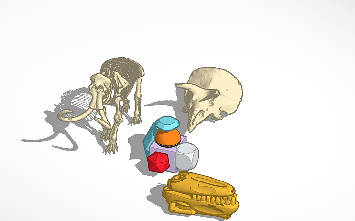 3D design Fantastic woo museum | Tinkercad