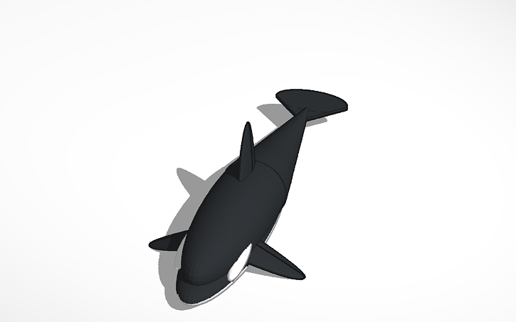 3D design Orca | Tinkercad
