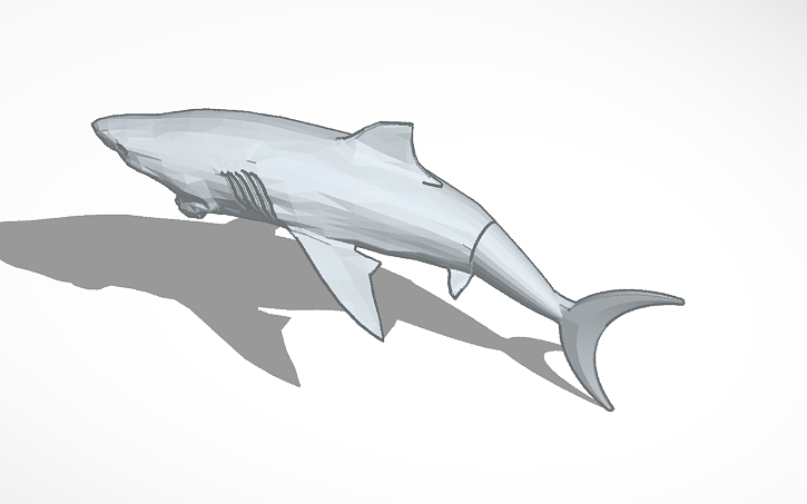 3D design 3D shark - Tinkercad