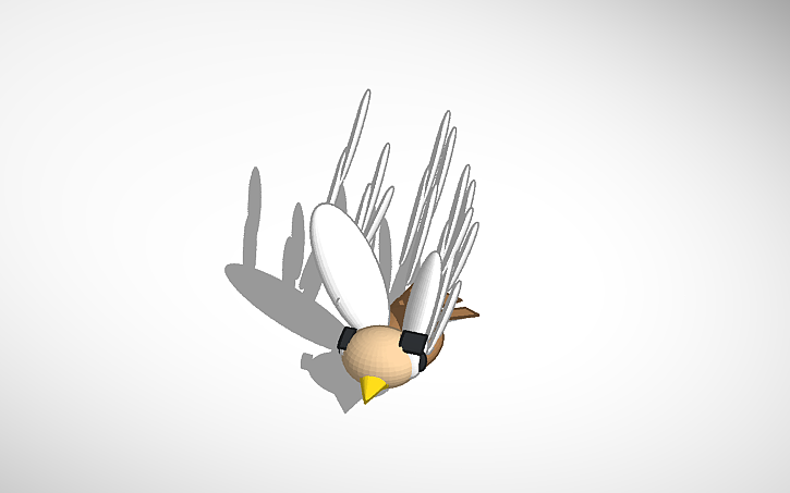 3D design Eagle - Tinkercad