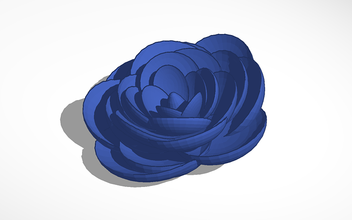 3D design Flower Petals - Tinkercad
